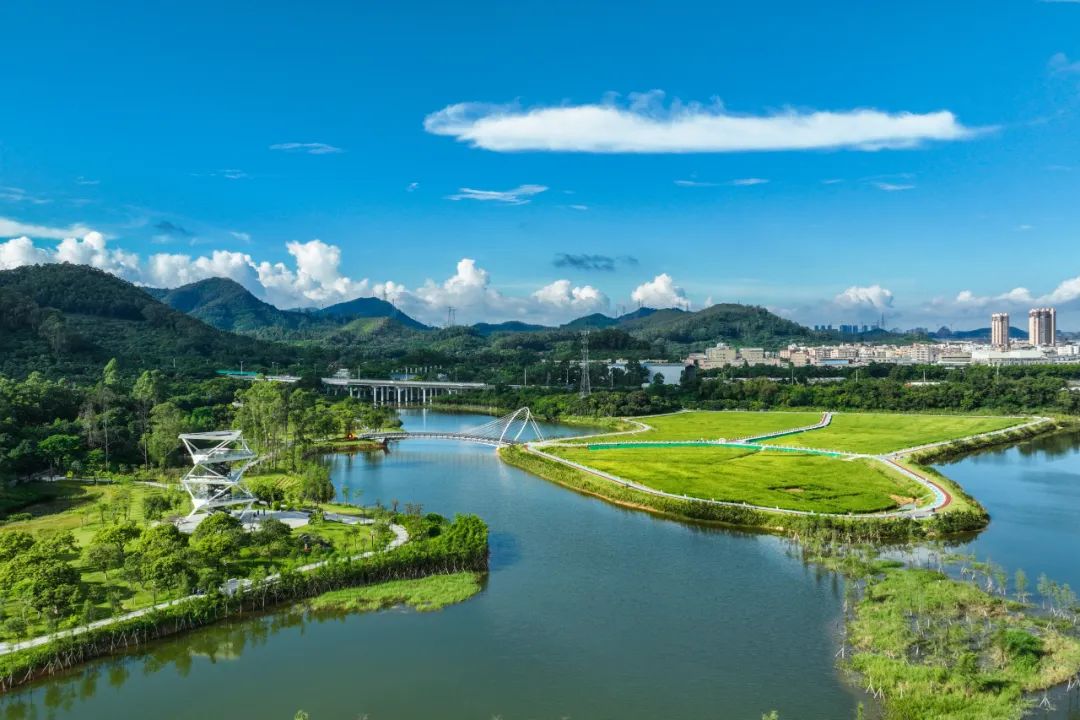 推动20个重大项目落地建设 黄江立足三大优势融入新格局 东莞阳光网